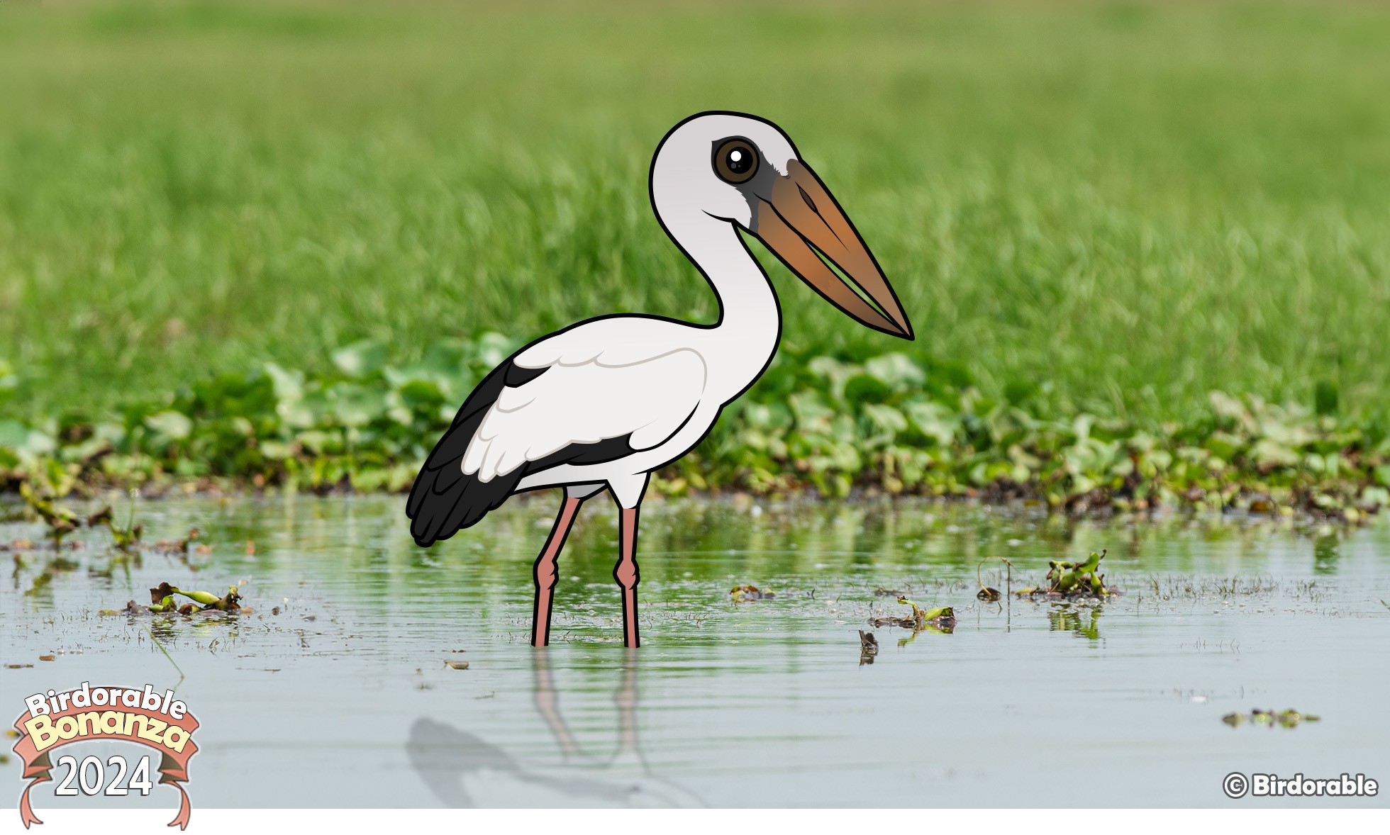 Discover the Asian Openbill and Its Unique Beak | Birdorable Blog