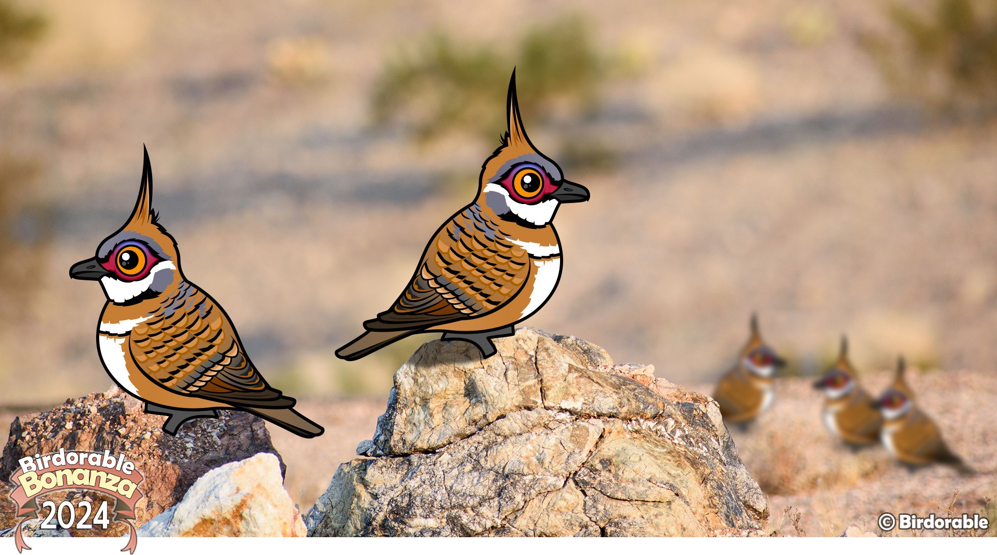 Meet the Spinifex Pigeon: Australia’s Flashy Desert Specialist