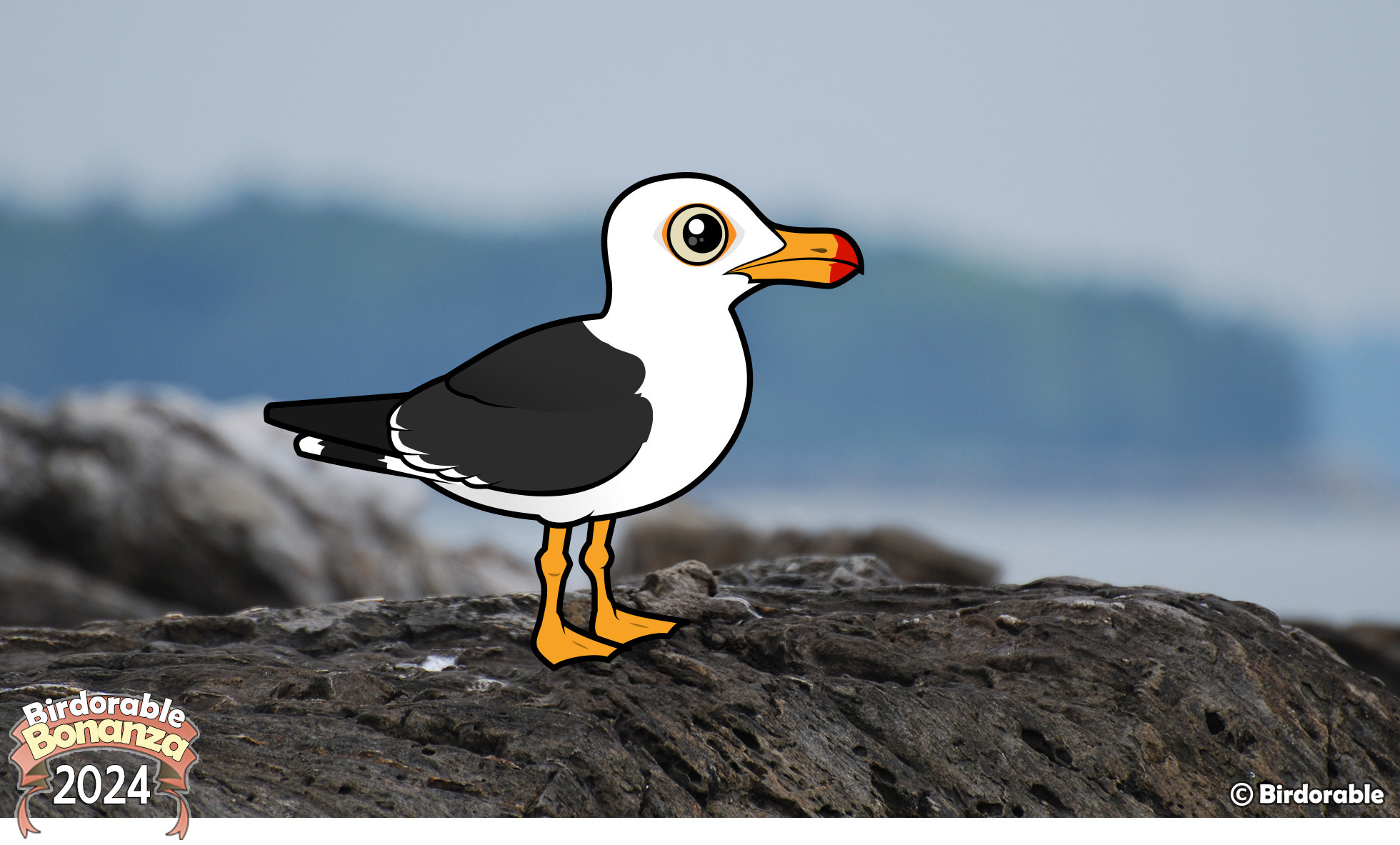 Meet the Pacific Gull: Coastal Australia’s Big Iconic Seabird