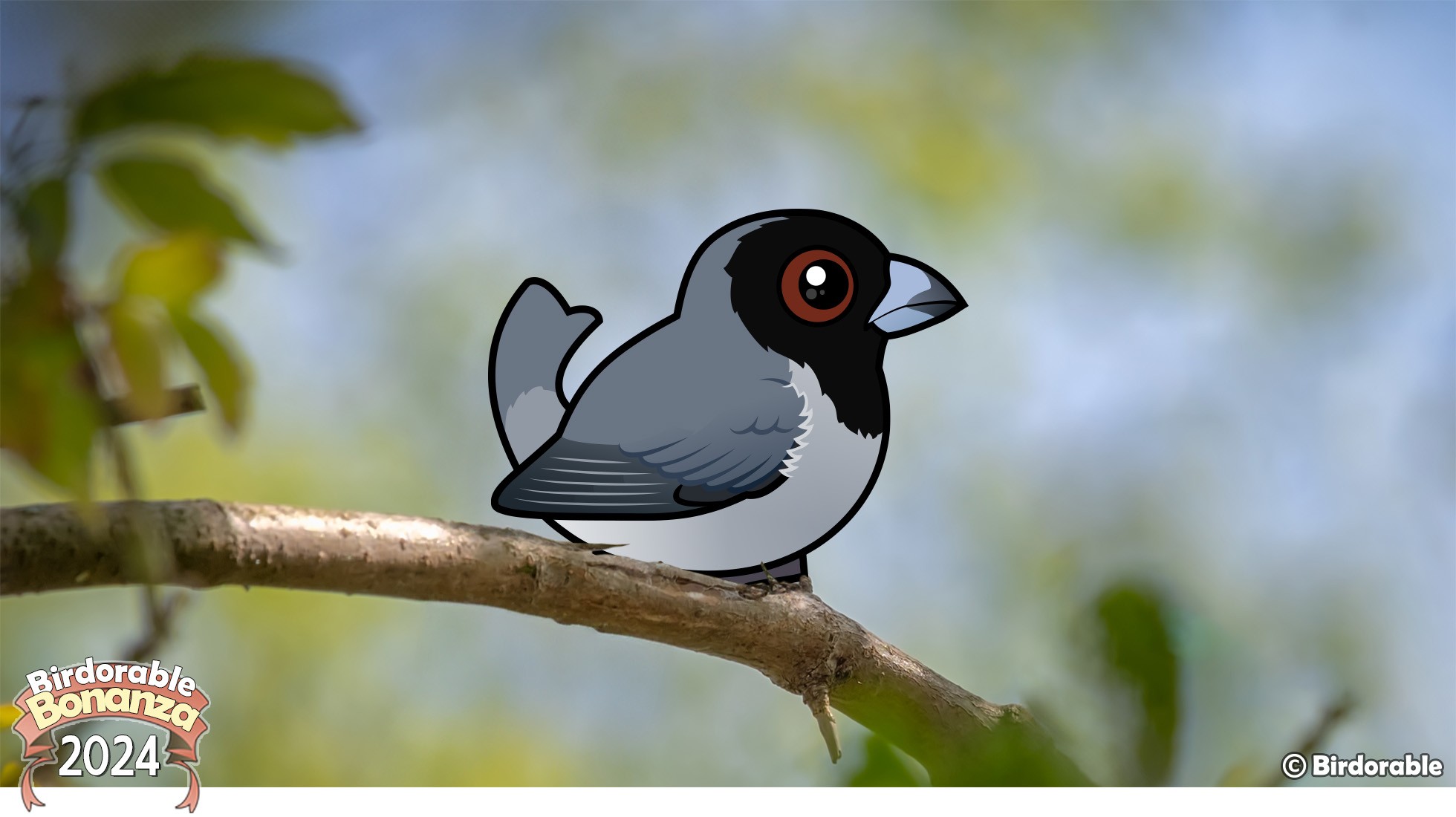 Black-faced Tanager: An Open-Space Specialist Songster