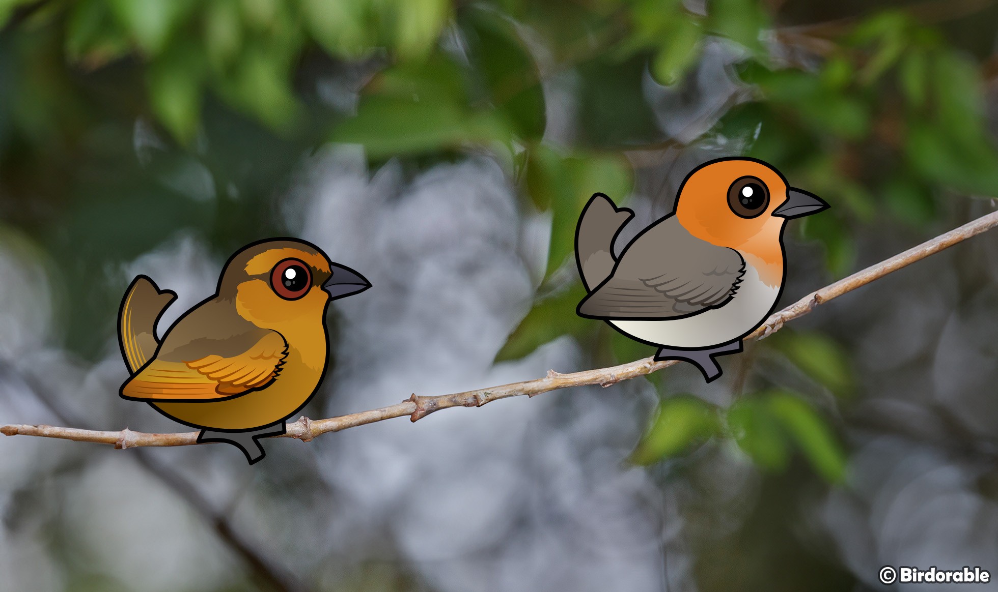 Birdorable Introducing: Brown Tanager & Brown-flanked Tanager