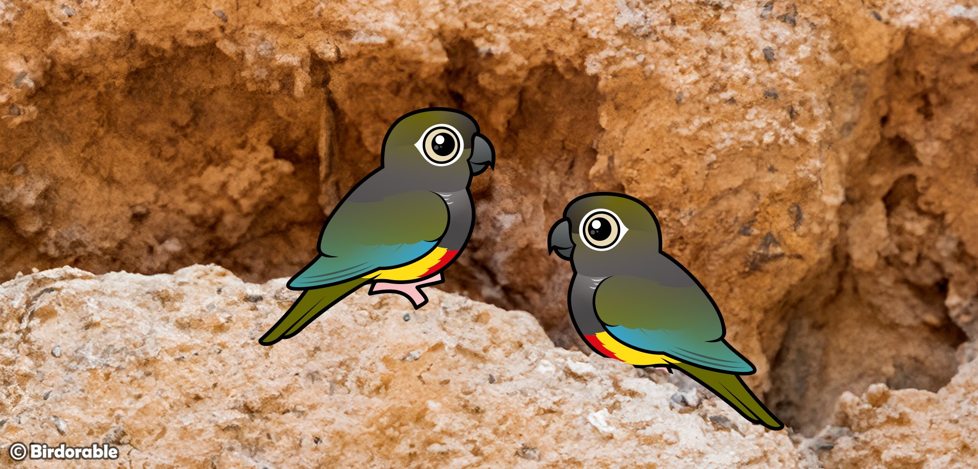 Exploring the Underground Habitats of Burrowing Parakeets