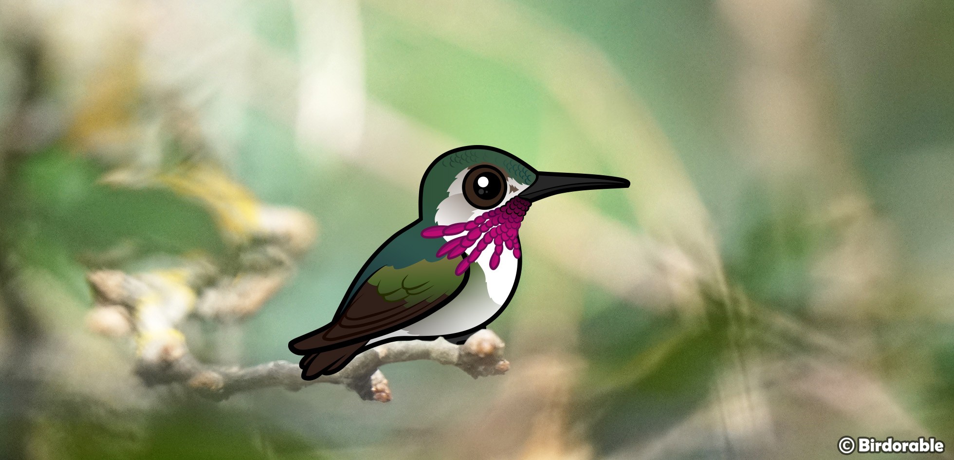 Discover the Tiny Calliope Hummingbird | Birdorable Blog