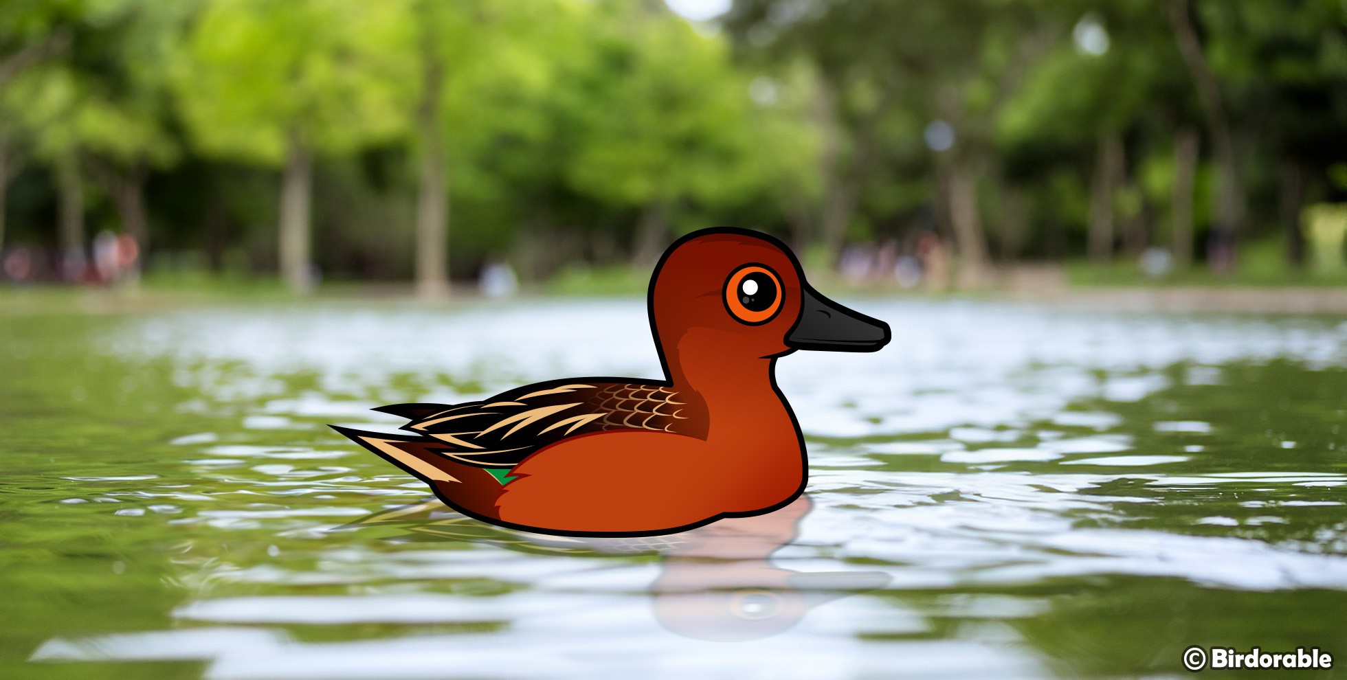 A Closer Look at the Cinnamon Teal – Birdorable Blog