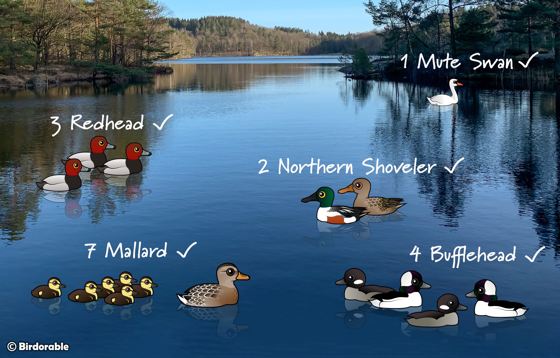 Citizen Science with eBird - Birdorable Blog