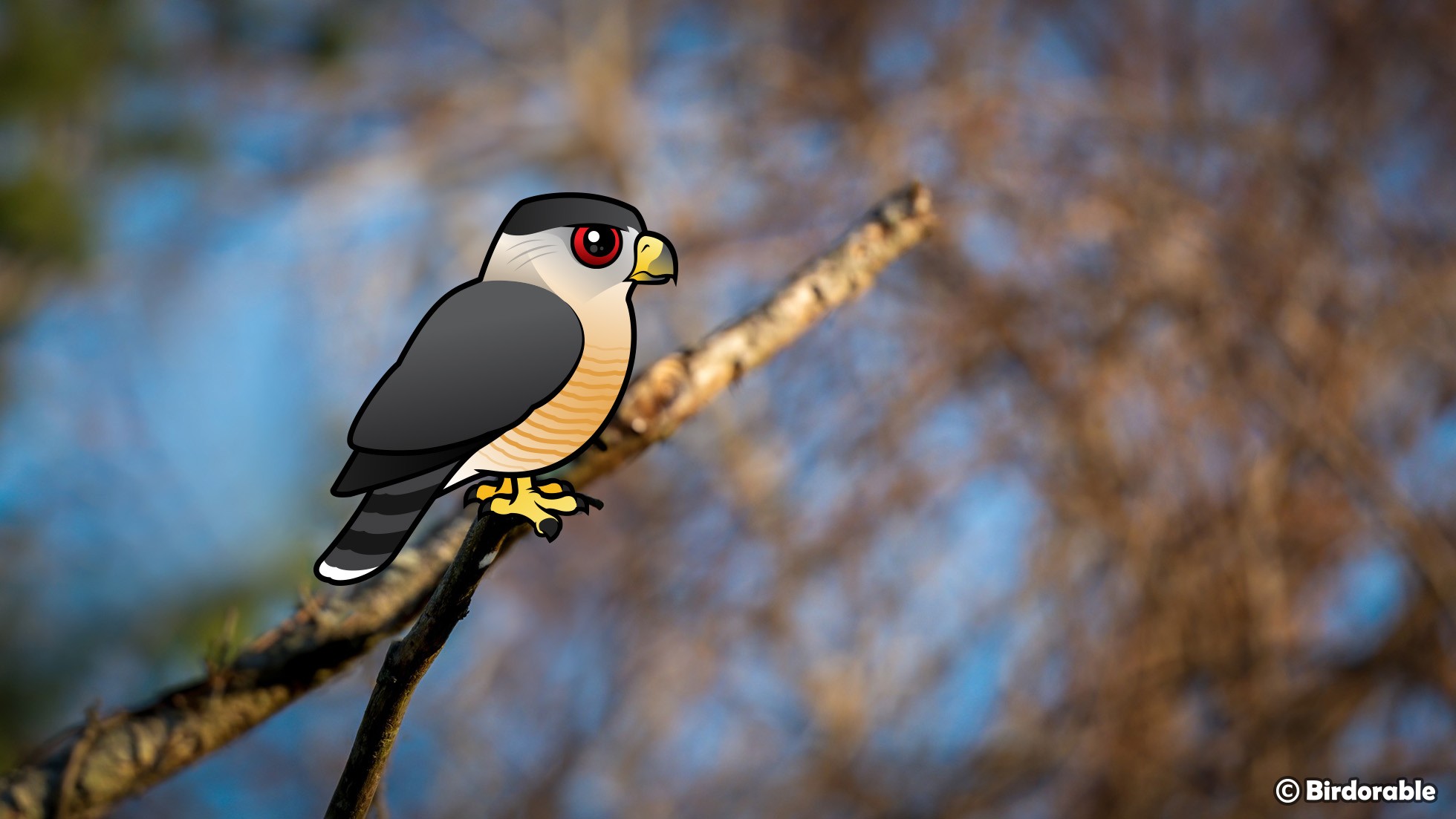 The Birdorable Cooper's Hawk: An Avian Daredevil of the Forest