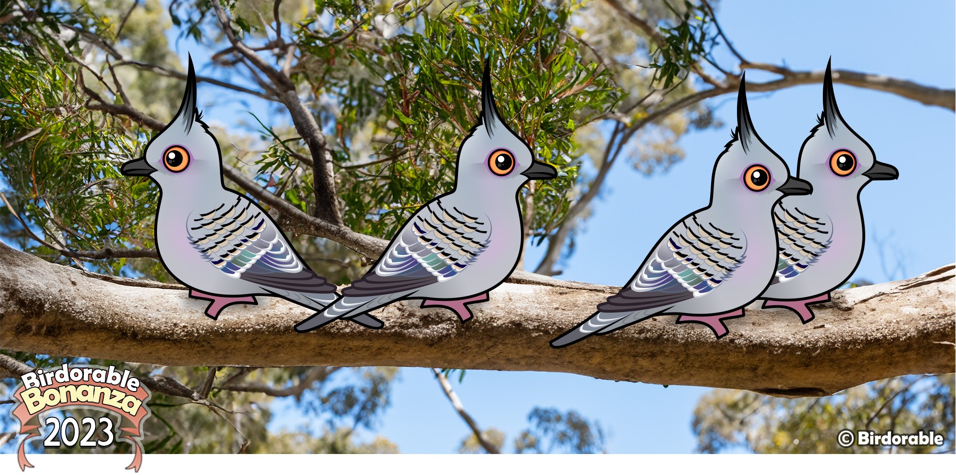 The Crested Pigeon: A Whistling Wonder from Down Under