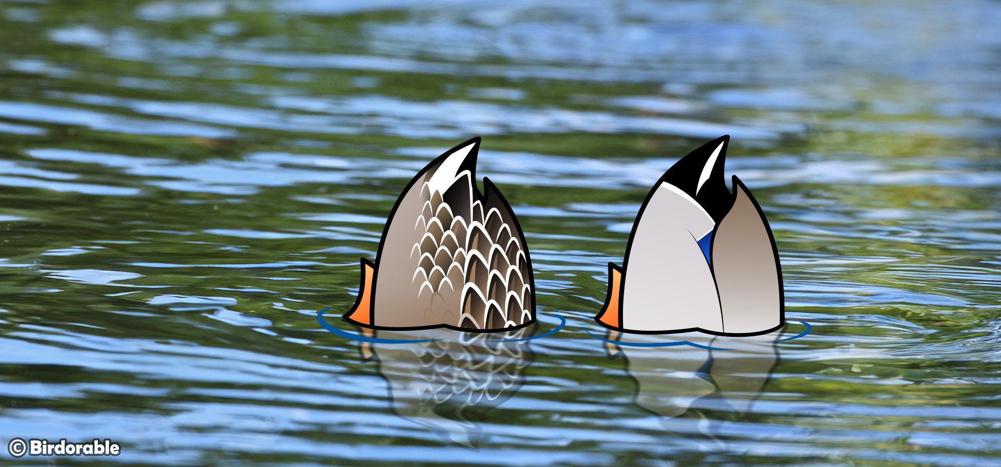 Get a Glimpse of Duck Butts with Birdorable's Latest Design