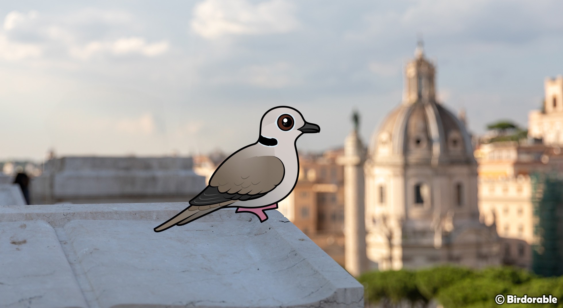 Birdorable Eurasian Collared Dove: Understanding Its Global Range