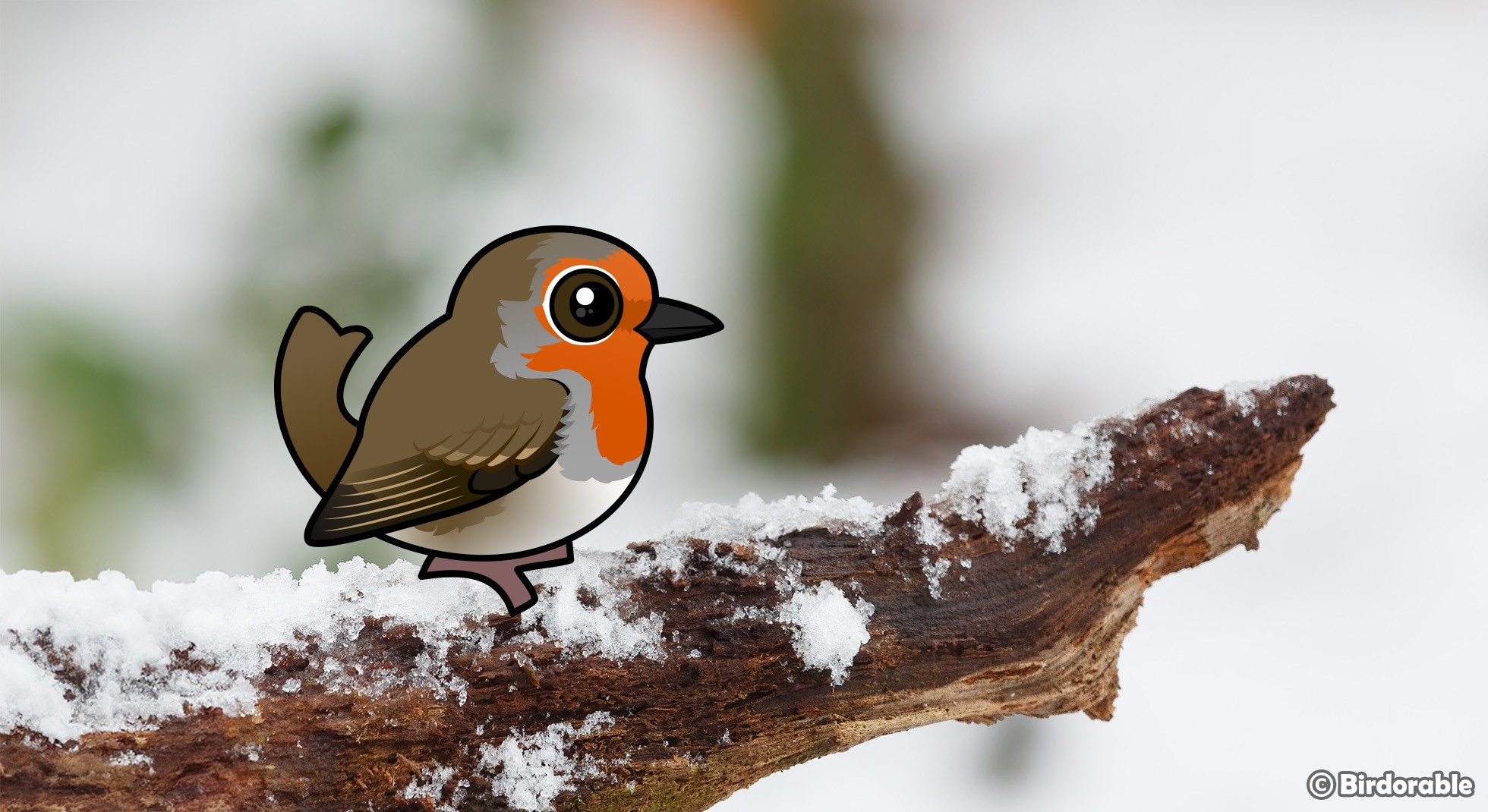 The Vibrant European Robin: Europe’s Little Songster | Birdorable