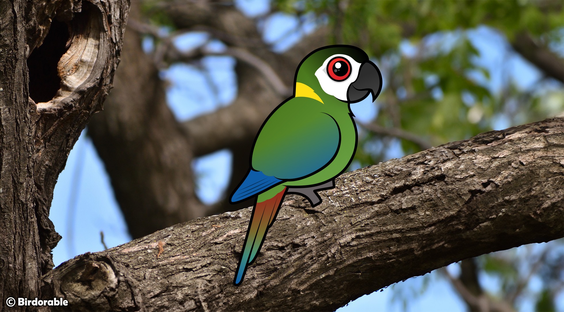 Birdorable Welcomes the Golden-collared Macaw: Get to Know It