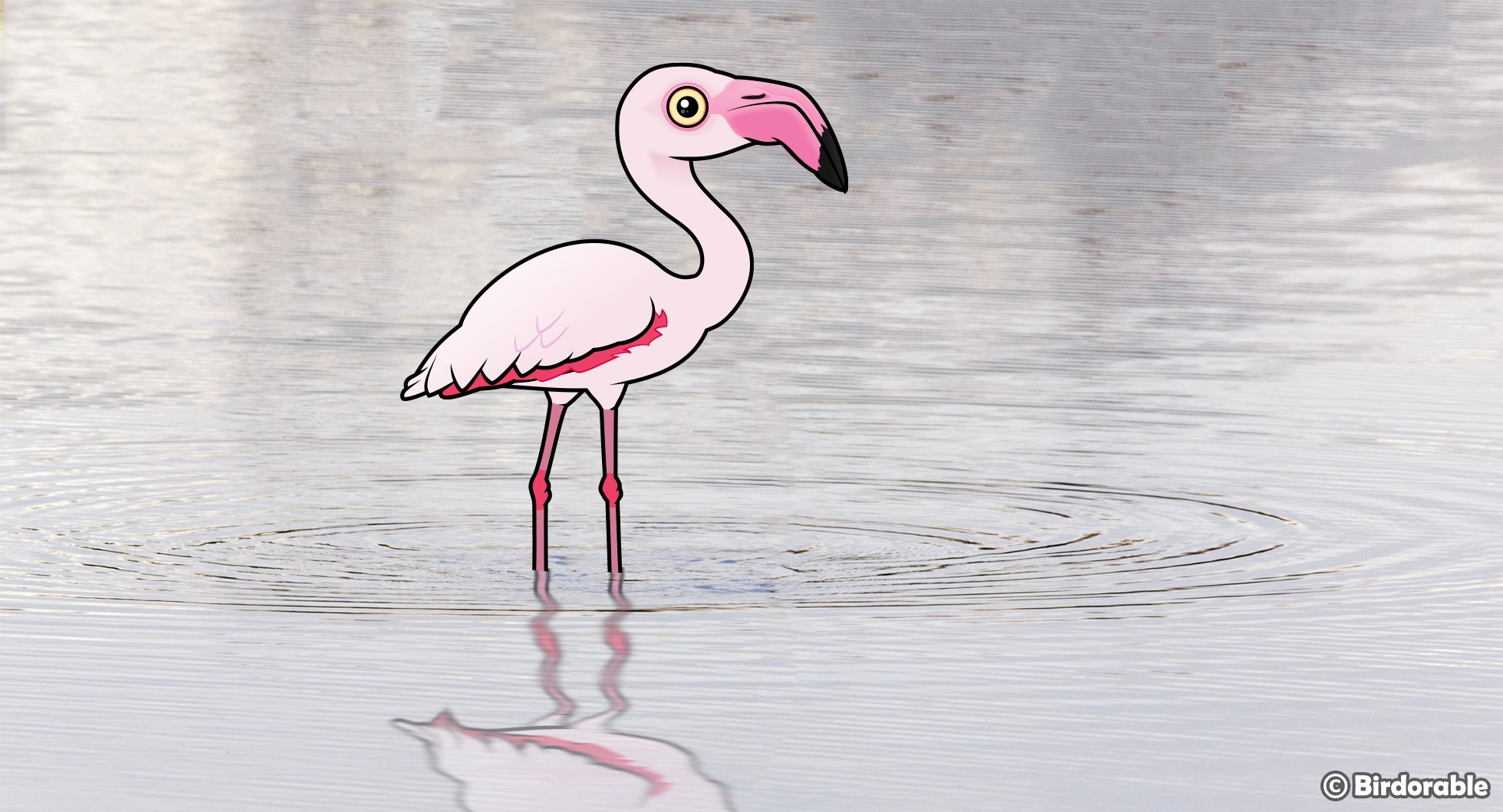 From Grey to Pink: The Life and Times of the Greater Flamingo