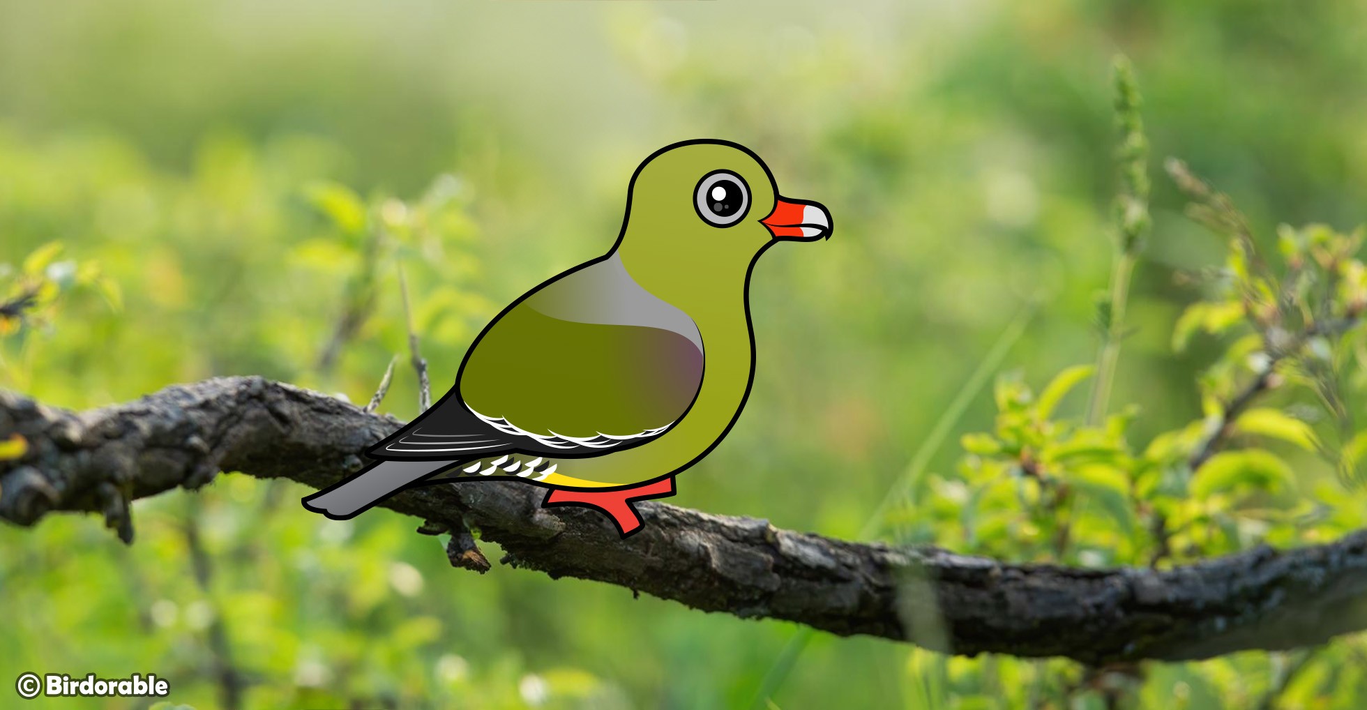 Pigeons & Doves - Birdorable Blog