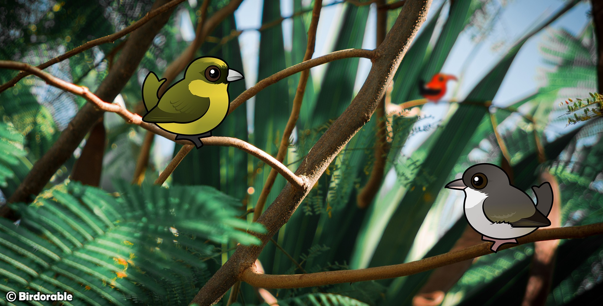 Birdorable Blog - Bird News, New Species & Fun Stuff