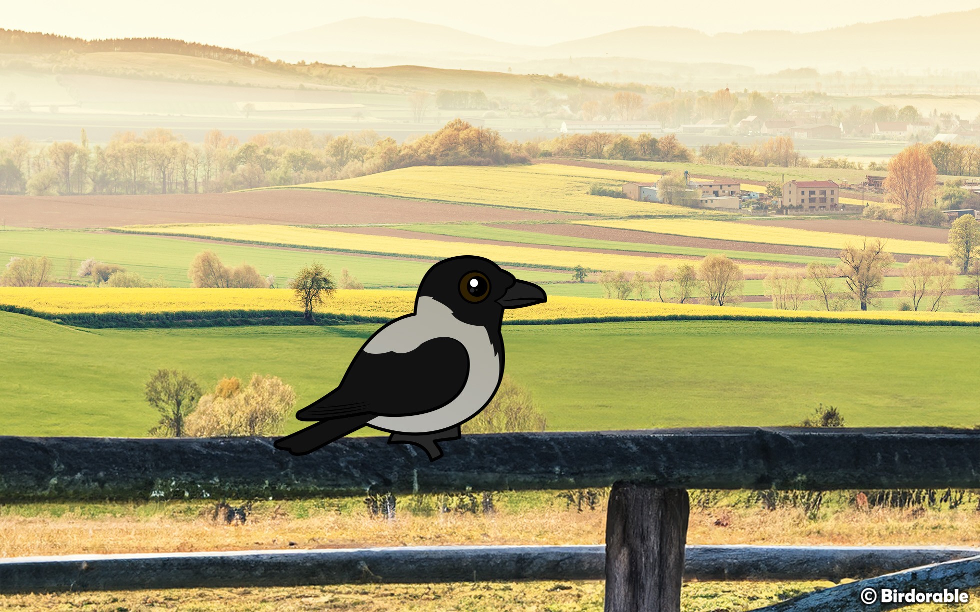 Meet the Birdorable Hooded Crow: Elegance Meets Intelligence