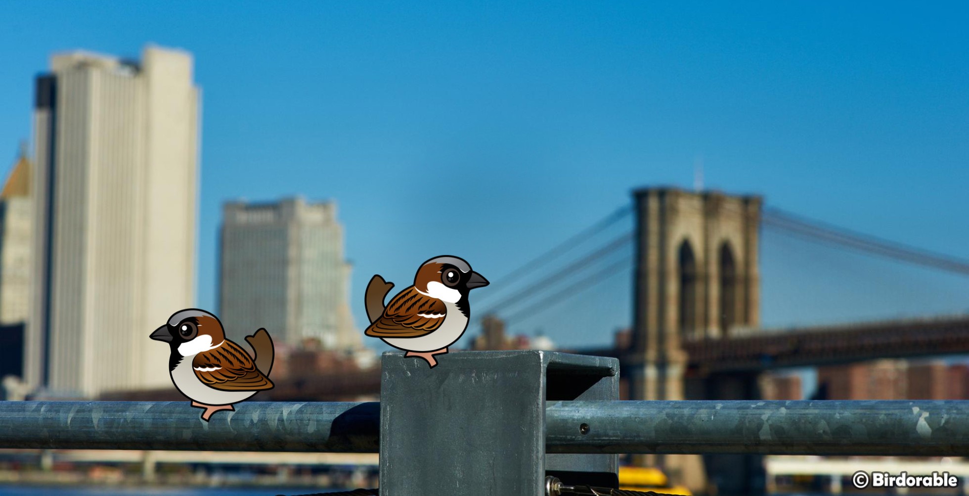 Europe to Everywhere: The House Sparrow's Incredible Expansion