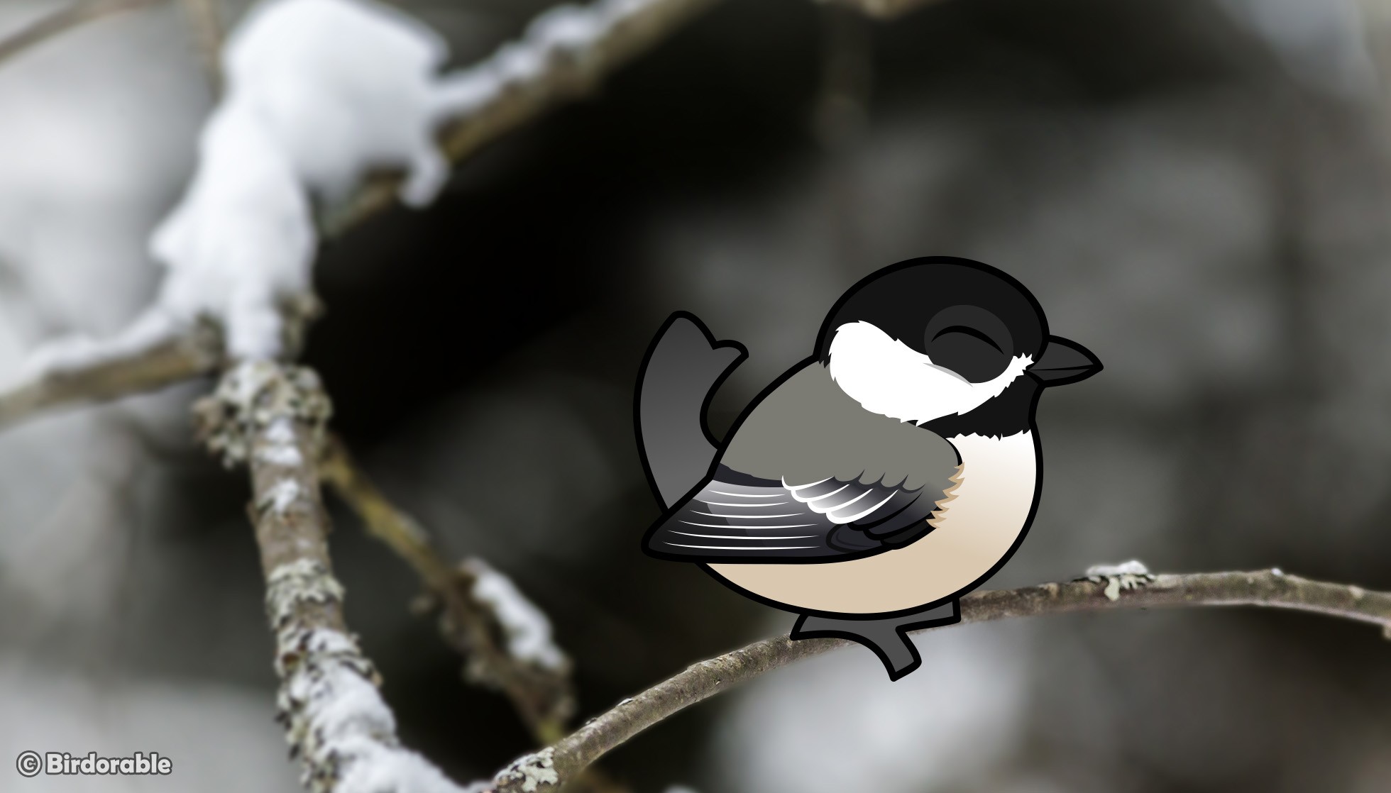 How Birds Survive Winter: Torpor, Hibernation, and Migration