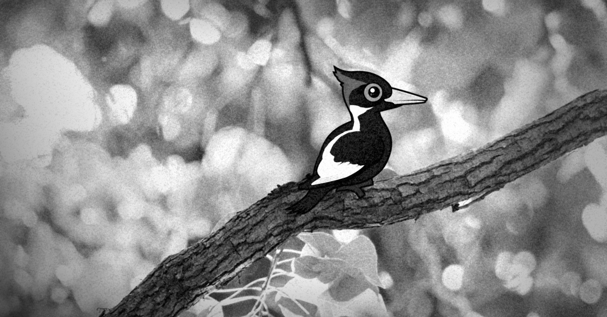 Do you believe in the Birdorable Ivory-billed Woodpecker?