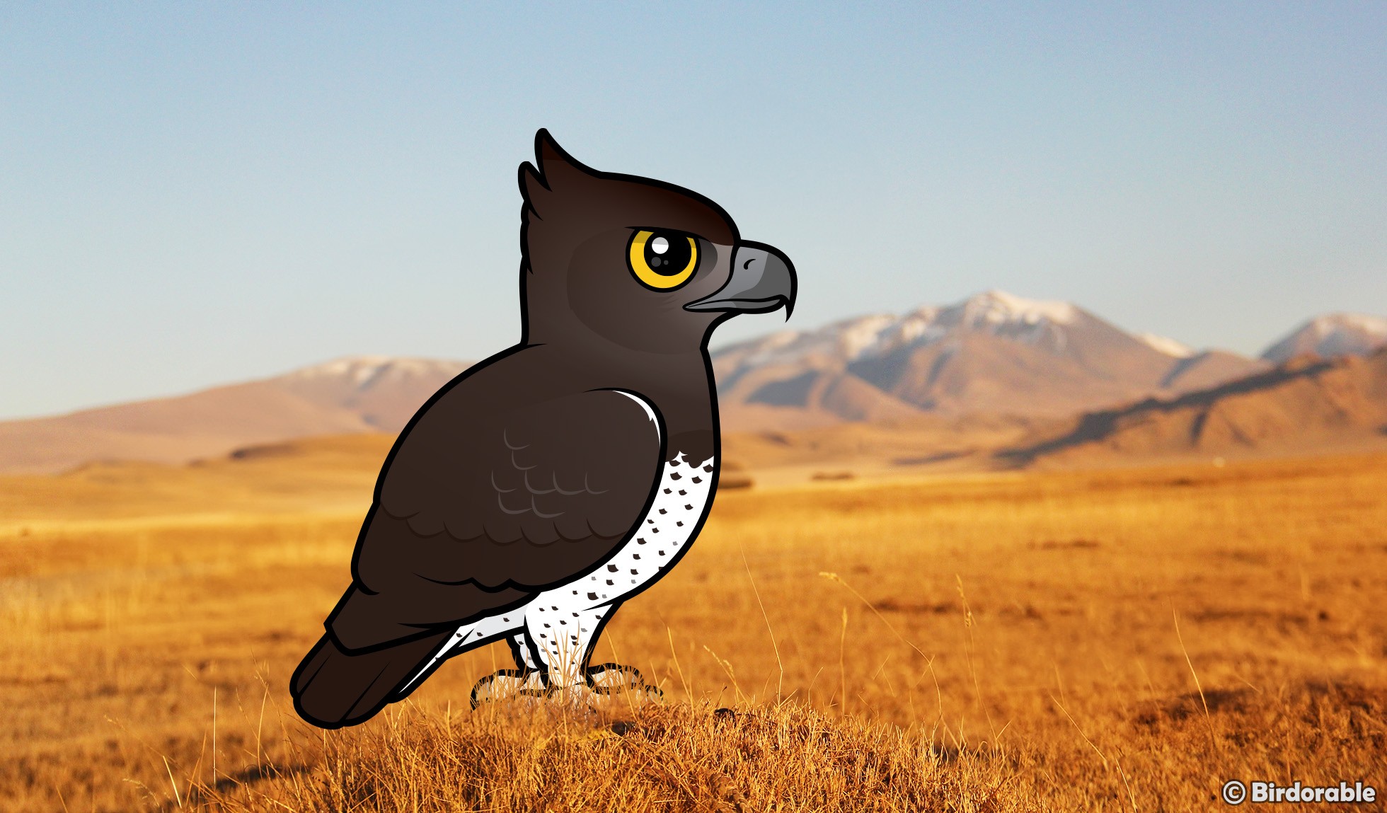Meet the Martial Eagle: One of Africa’s Mightiest Raptor