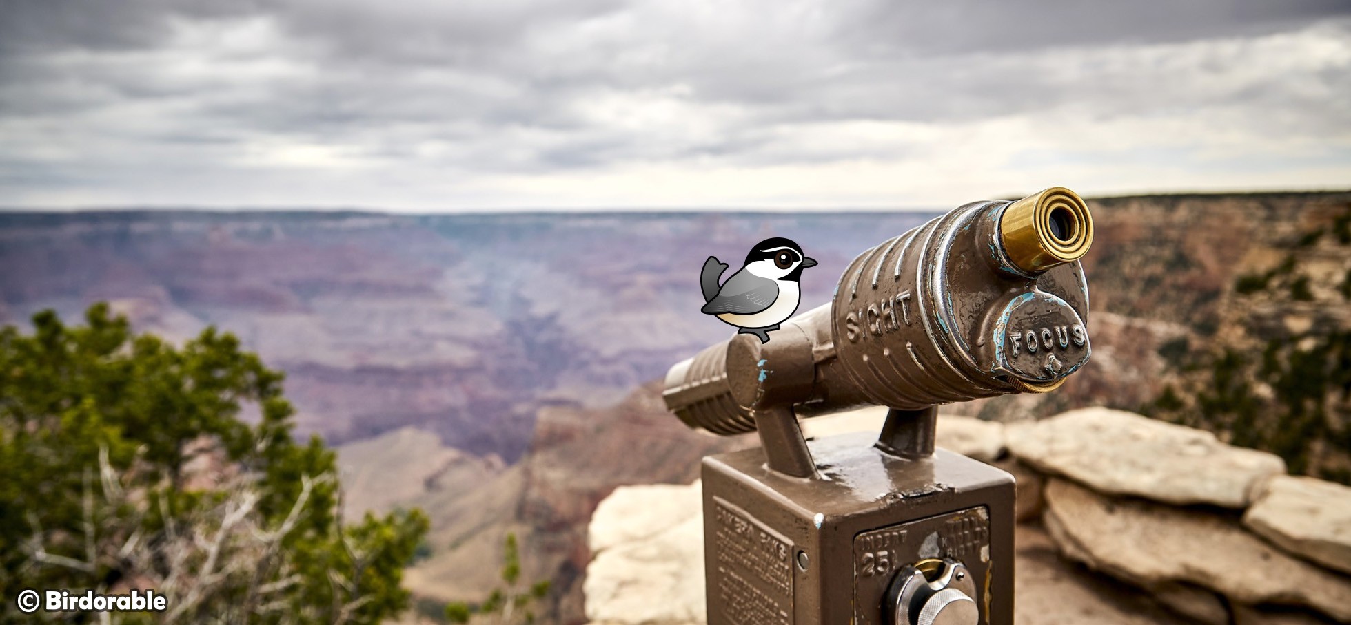 List of Fun Facts About Chickadees by Birdorable