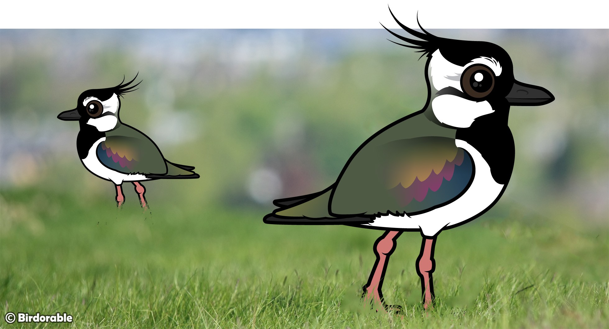 The Iridescent World of the Northern Lapwing at Birdorable