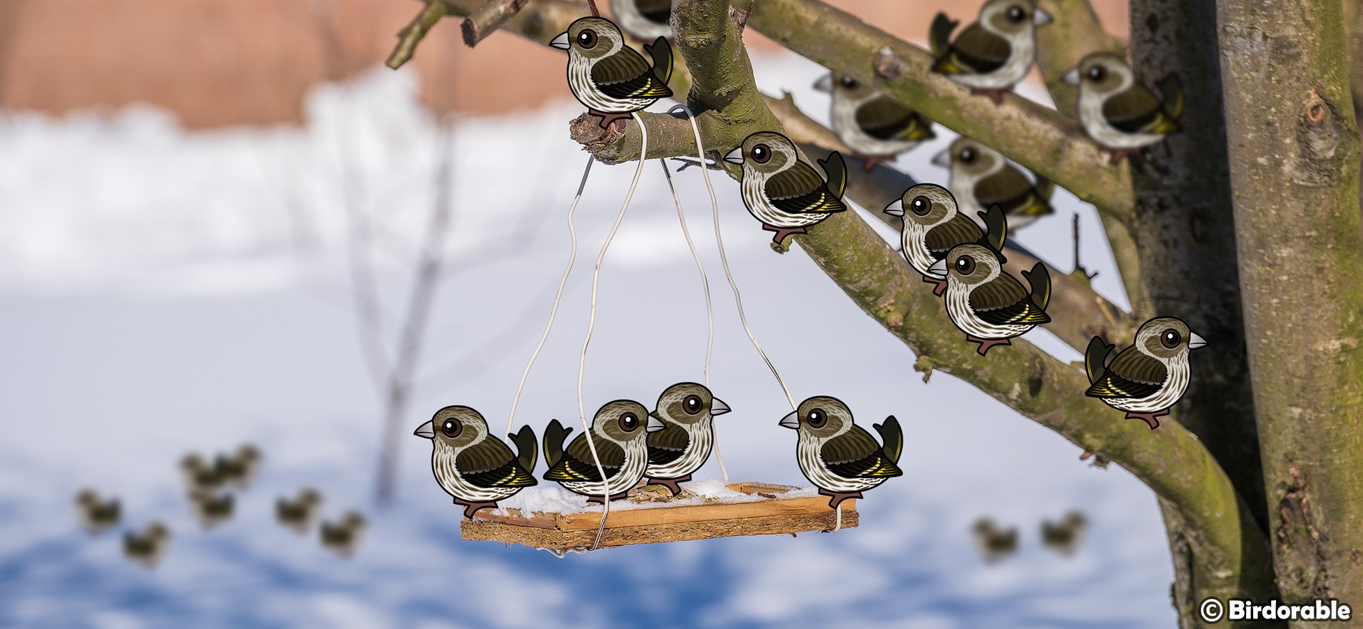 Sudden Surge: Understanding the Phenomenon of Bird Irruptions
