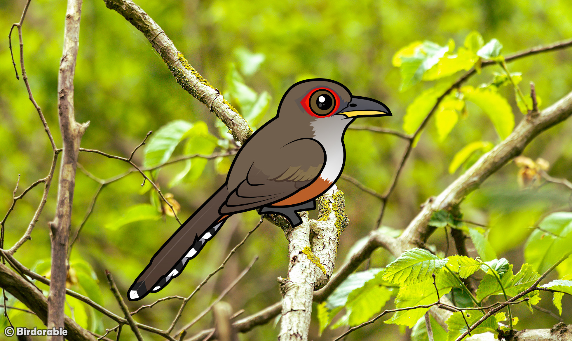 New Birdorable: Meet the Puerto Rican Lizard-Cuckoo