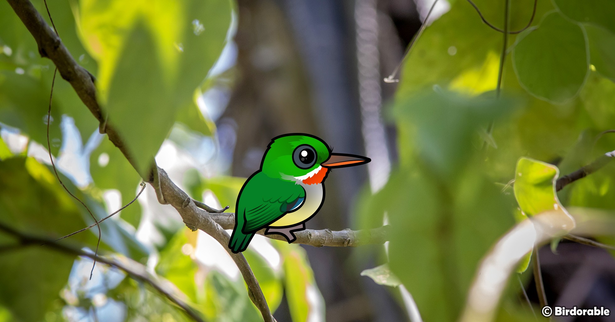 Meet the Puerto Rican Tody: Puerto Rico's Tiny Gem