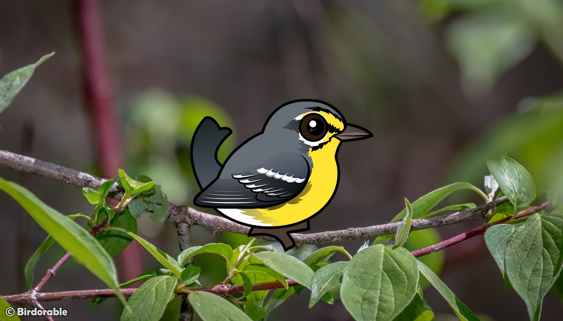 Birdorable Blog - Bird News, New Species & Fun Stuff
