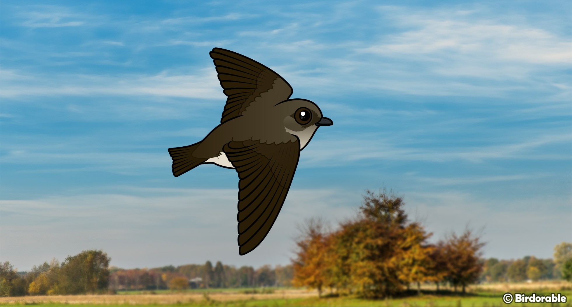 Swallows - Birdorable Blog