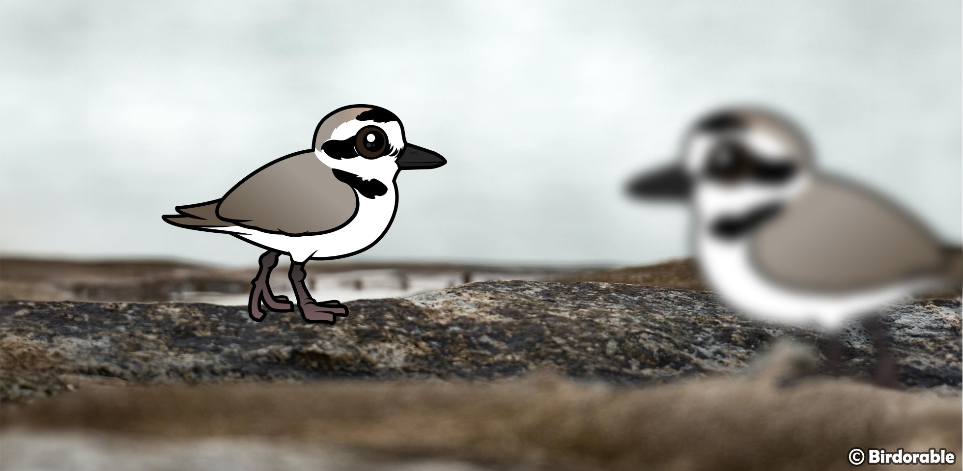 Introducing the Snowy Plover: Birdorable's Latest Feathered Friend