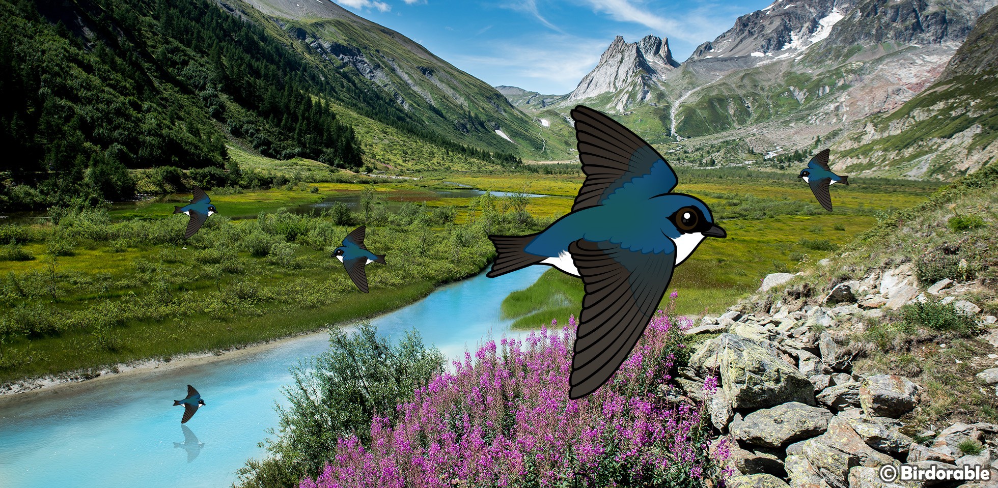 Swallows - Birdorable Blog