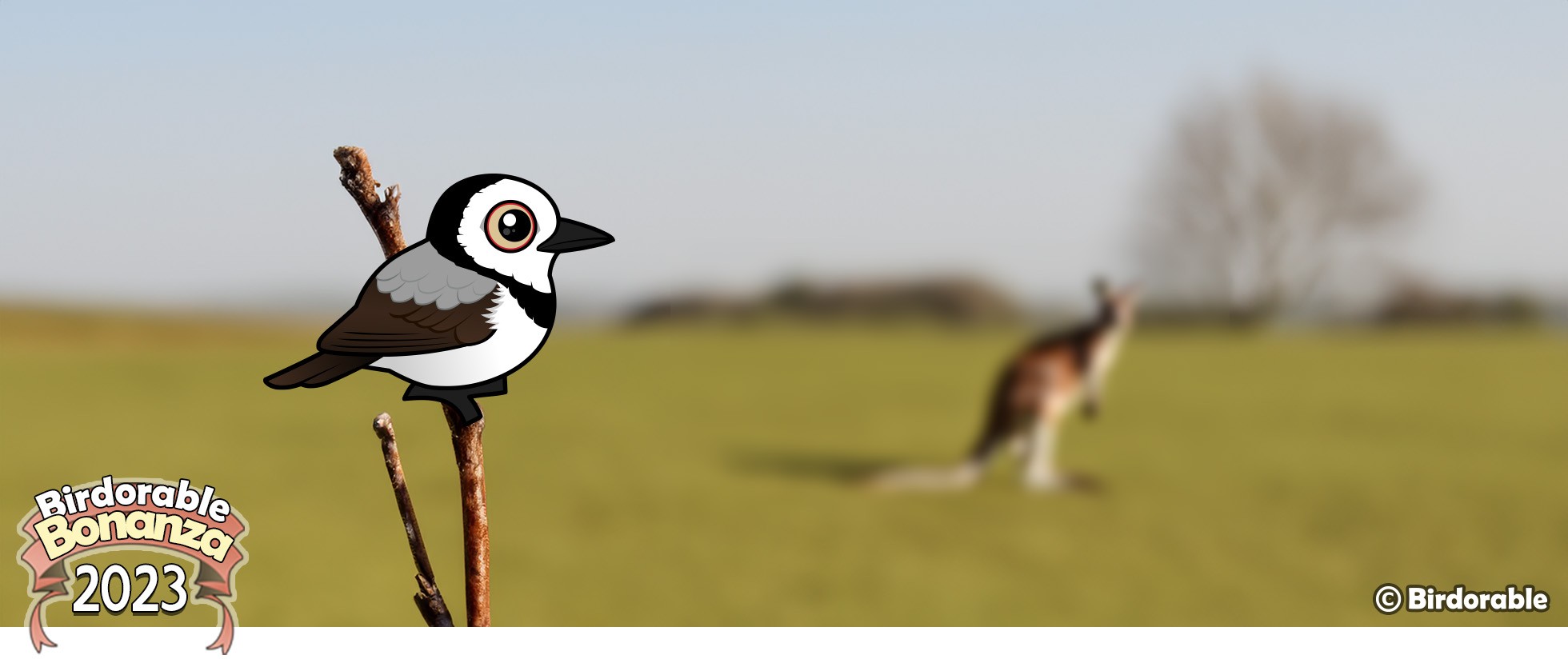 Meet the White-Fronted Chat: A Cutie from Down Under