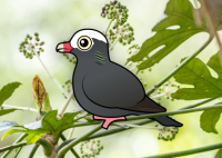 Fun Florida Scrub-Jay Fun Facts - Birdorable Blog