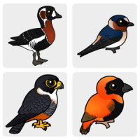 Birdorable – Unique Cute Bird Gifts & T-Shirts for Bird Lovers