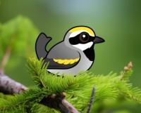 Great Tit T-Shirts by Birdorable: Where Birdwatching Meets Humor