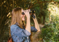 Birdorable 200: Dodo