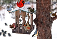 Birdorable 200: Dodo