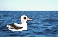 Cute Wandering Albatross by Birdorable