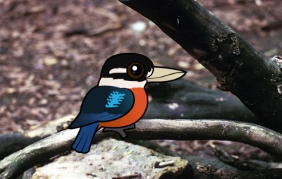 Meet the Cute Rufous-bellied Kookaburra by Birdorable