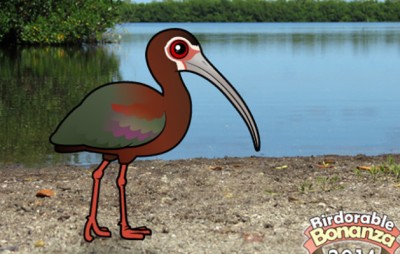 Cute White-faced Ibis by Birdorable