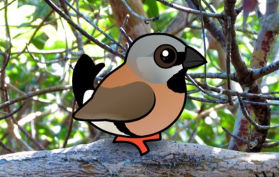 Meet the Cute Black-throated Finch by Birdorable