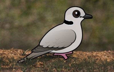 Meet the Cute Cartoon Birdorable Ring-necked Dove!