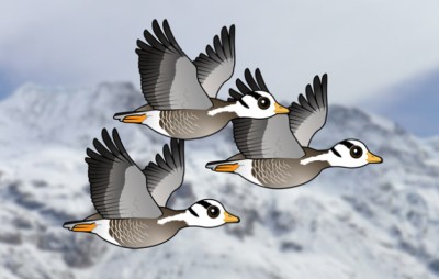 Birdorable Bar-headed Goose