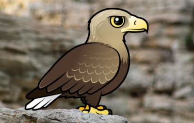 White-tailed Eagle by Birdorable: Majesty of the European Skies