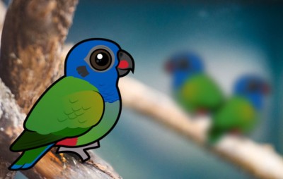 Meet the Blue-headed Parrot by Birdorable