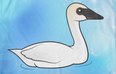 Trumpeter Swan info from Birdorable