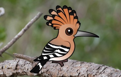 Meet the Distinctive and Colorful Hoopoe | Birdorable Birds