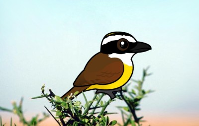 Great Tit T-Shirts by Birdorable: Where Birdwatching Meets Humor