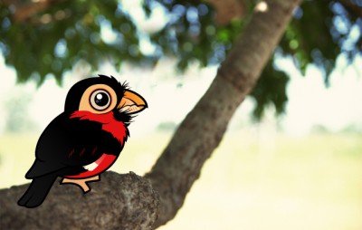 2016 Bonanza Bird #7: Eurasian Golden Oriole